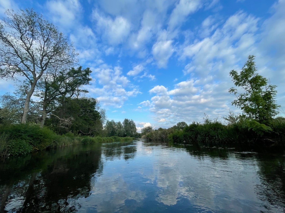 Our Chalk Stream Presentations | OWNED BY EVERYONE